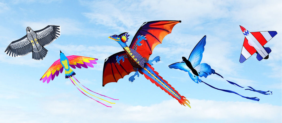Single Line Kites – HengDa Kite