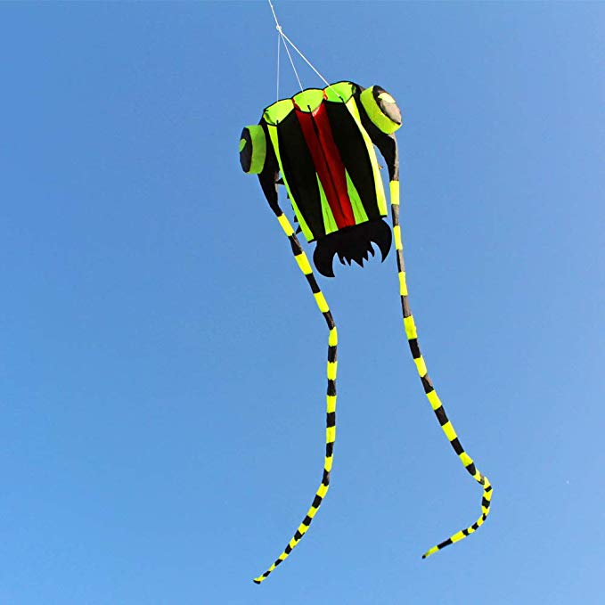 new best selling small trilobite kite for kids – HengDa Kite